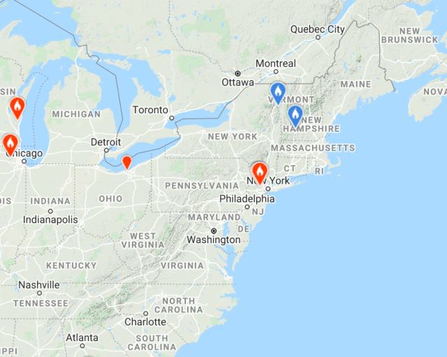 Say’s Phoebe at Great Swamp NWR – April 23, 2020 | mocosocoBirds